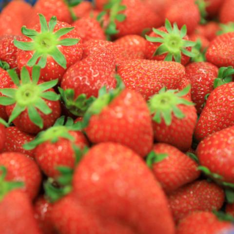 Fruits | Drive Fermier Audois